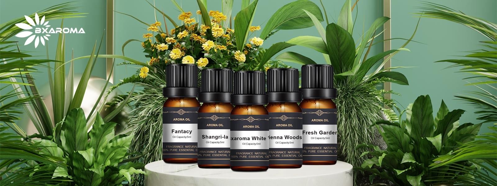 Quality Electric Scent Diffuser Machine & HVAC Scent Diffuser Machine ...